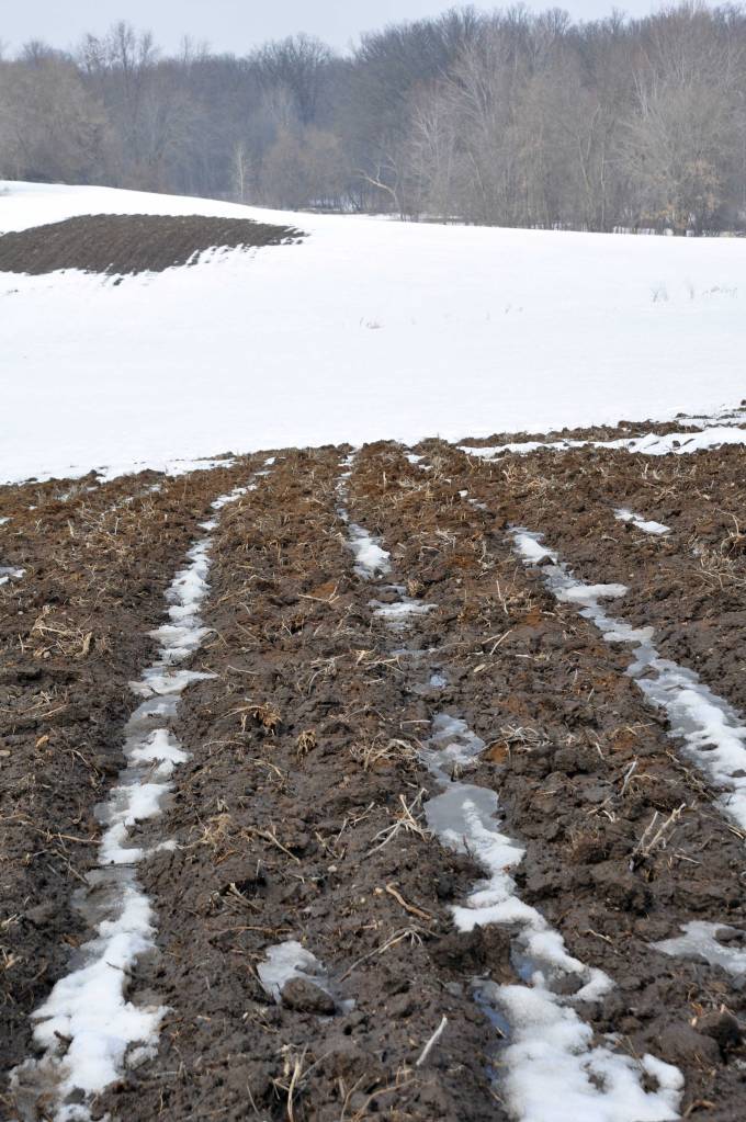 Just Two Farm Kids | A blog about two farm kids trying to blend their ...