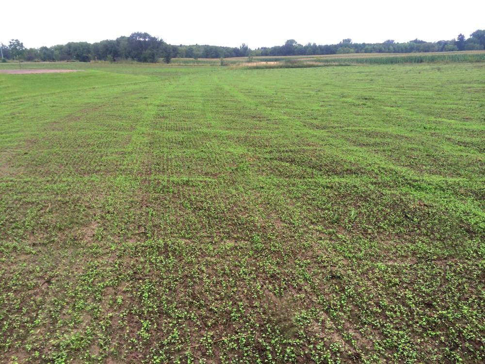 Just Two Farm Kids | A blog about two farm kids trying to blend their ...